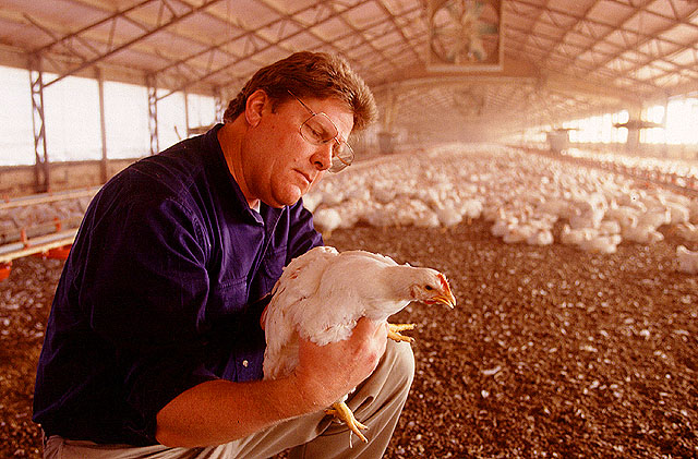 Huhn_tierarzt - Ropapharm Additive : Ropapharm Additive